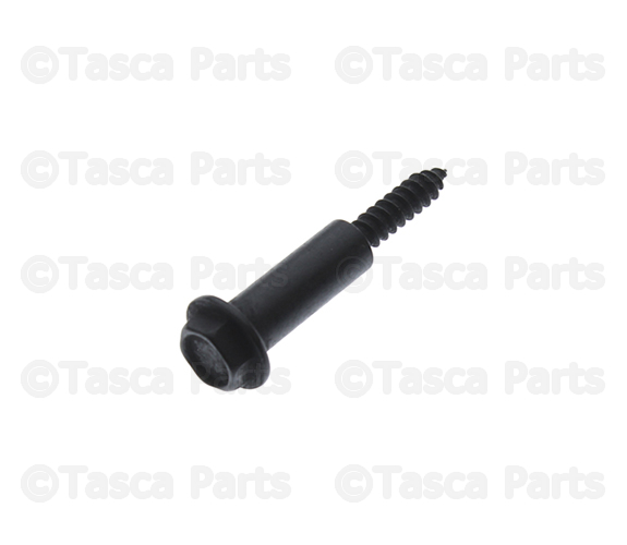 2005-2025 Mopar Trim Screw 6036610AA | TascaParts.com