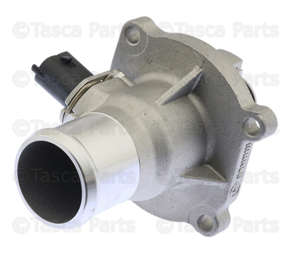 Engine Coolant Thermostat 25199829 | TascaParts.com