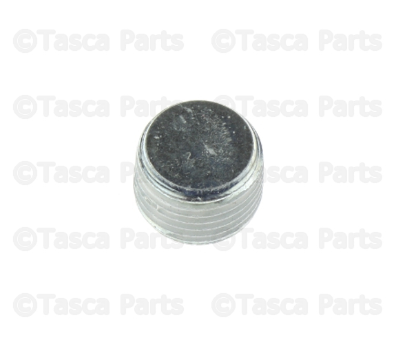 2001-2025 Mopar Hex Socket Plug 6034331 | TascaParts.com