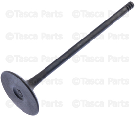 2011-2018 Chevrolet Engine Intake Valve 55569449 | TascaParts.com