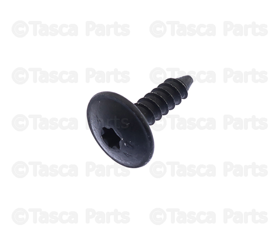 2017-2024 Volvo Mud Guard Screw 30622844 | TascaParts.com