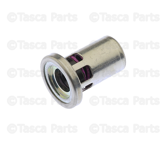 Engine Oil Cooler Bypass Valve 25161285 | TascaParts.com