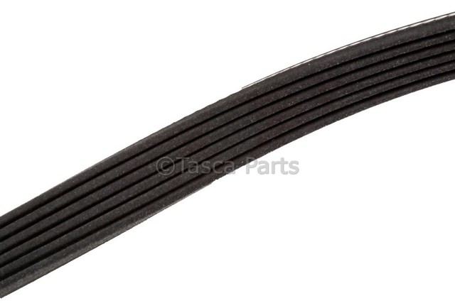 2010-2019 GM Serpentine Belt 12636137 | TascaParts.com