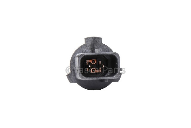 2012-2020 GM Fog Lamp Bulb 13582913 | TascaParts.com