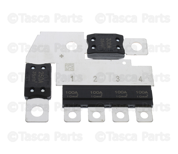 2010-2019 GM Front Compartment Fuse Block Fuse 13289598 | TascaParts.com