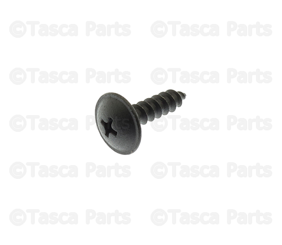 1996-2020 Nissan Mud Guard Screw 01451-00891 | TascaParts.com