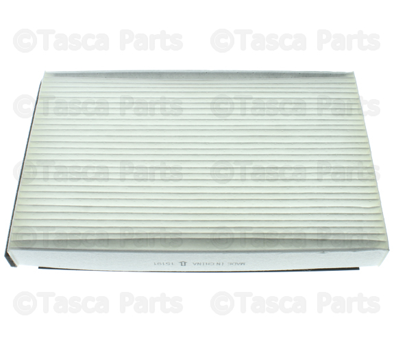 Filter 19338011 | TascaParts.com