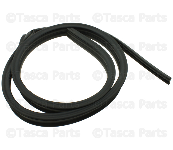 1999-2007 GM Drip Weather-Strip - Passenger Side (RH) 15044908 ...