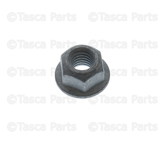 2012-2019 Fiat 500 Converter & Pipe Nut 6104716AA | TascaParts.com