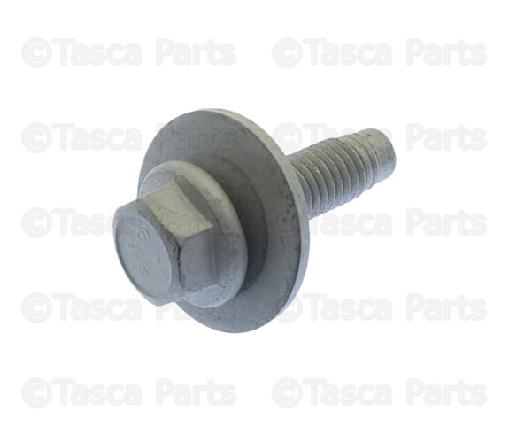 2015-2024 GM Bumper Impact Bar Bolt 11569664 | TascaParts.com