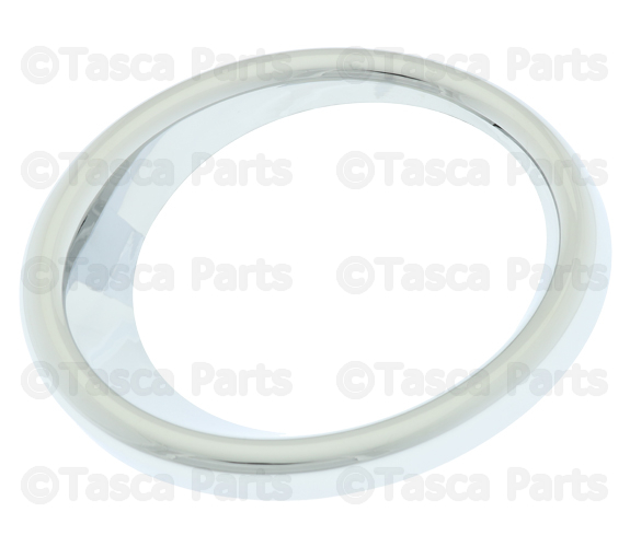 2009-2011 GM Lower Cover Hole Cover - Driver's Side (LH) 96808147 ...