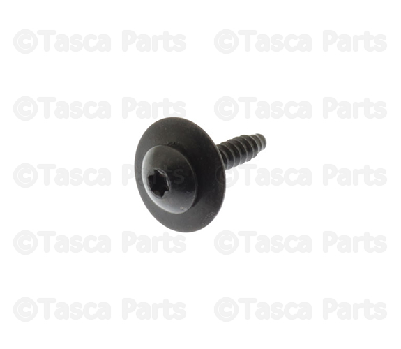 2014-2023 Mopar Fog Lamp Assembly Screw 68090949AA | TascaParts.com