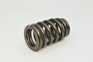 GM Parts | Valve Spring Part# 12706568 | GM Parts Store