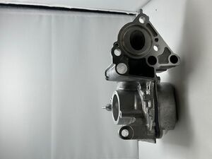 16032-F0011 - Water Pump 2018-2024 Toyota | Ed Martin Toyota Parts