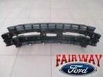 2018-2019 Ford 17 thru 19 Super Duty F-250 -F350 F-450 F550 OEM Ford ...