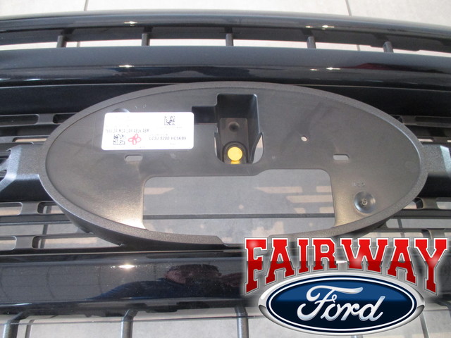 Super Duty F-250 F-350 OEM Ford SPORT Appearance Package Black Grille ...