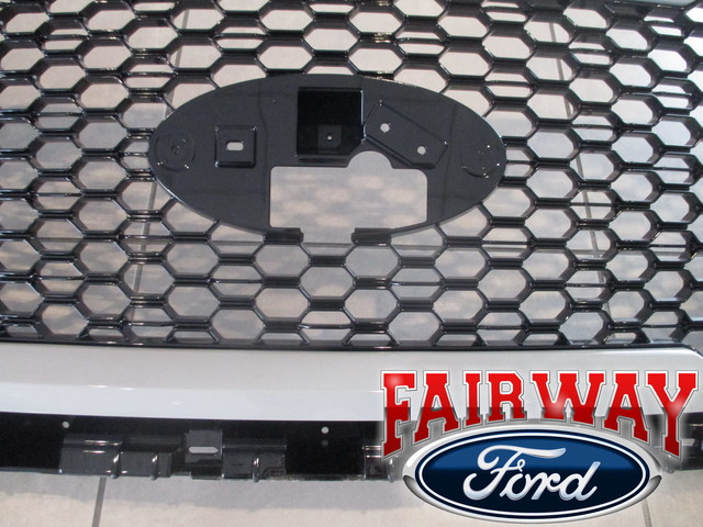 2018-2019 Ford F-150 18 thru 20 F-150 OEM Ford Honeycomb Paintable ...
