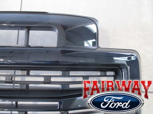 Super Duty F-250 F-350 OEM Ford SPORT Appearance Package Black Grille ...
