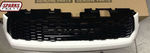 2019-2021 Toyota TRD Pro Grille Sub Assembly Rad White Tundra | Sparks ...