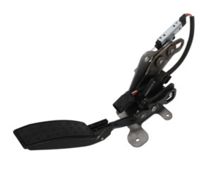 Accelerator Pedal Assembly 19421167 GM | GMPartsDirect.com