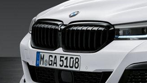 2021-2023 BMW Bmw Oem M Performance Front Grille In Shadow-line Black ...