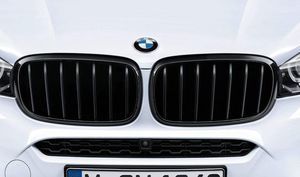 2014-2019 BMW Bmw M Performance Black Kidney Grille - Left 51-71-2-334 ...