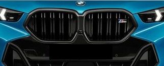 Bmw Oem Front Grille In Matte Black With M Badge 51-13-5-A38-883 | OEM ...