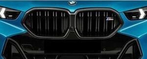 2024 BMW X6 Bmw Oem Front Grille In Matte Black With M Badge 51-13-5 ...