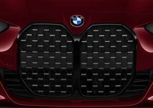 2021-2024 BMW Bmw Oem Front Grille In High Gloss Black 51-13-8-078-548 ...