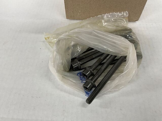 AG9Z-6065-A - Engine Cylinder Head Bolt (SOLD IN A PACKAGE OF 10 ...
