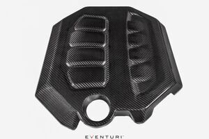 EVE-EA8884-CF-ENG - Eventuri VW Golf MK8 GTI / R Black Carbon Engine ...