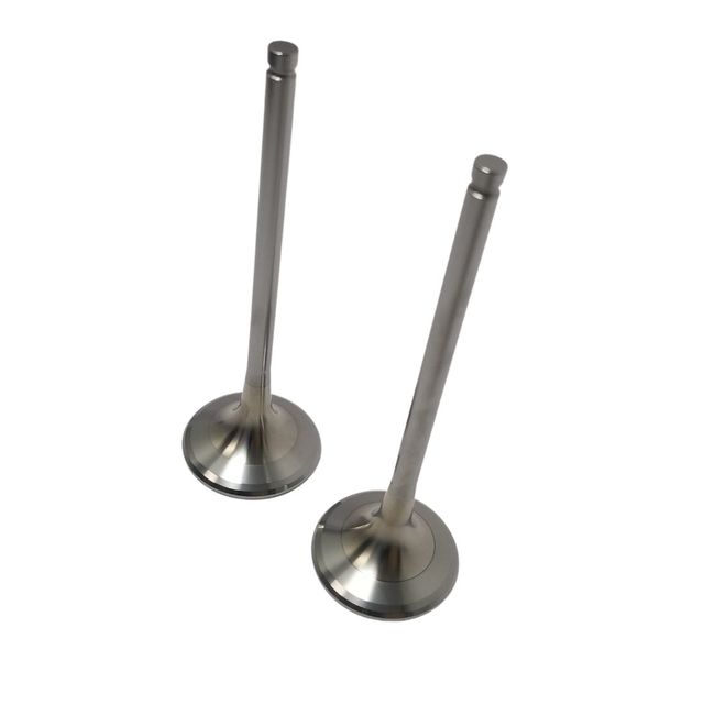 Drag Pak Cylinder Head Exhaust Valve Set - DSR Performance CHR-EV ...