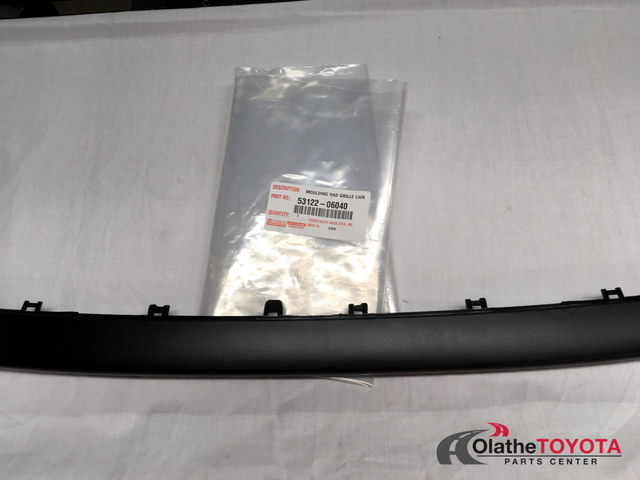 2018-2020 Toyota Camry Grille Molding (Lower) 53122-06040 | Toyota ...