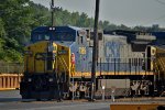 Pictures of CSX 7365