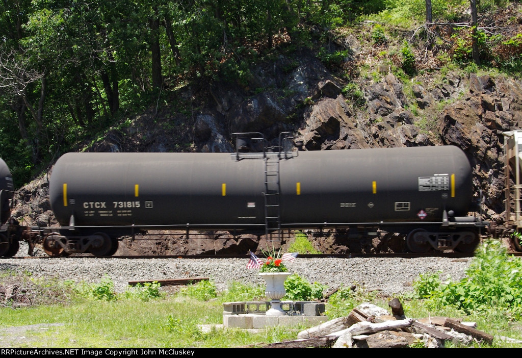 CTCX 731815