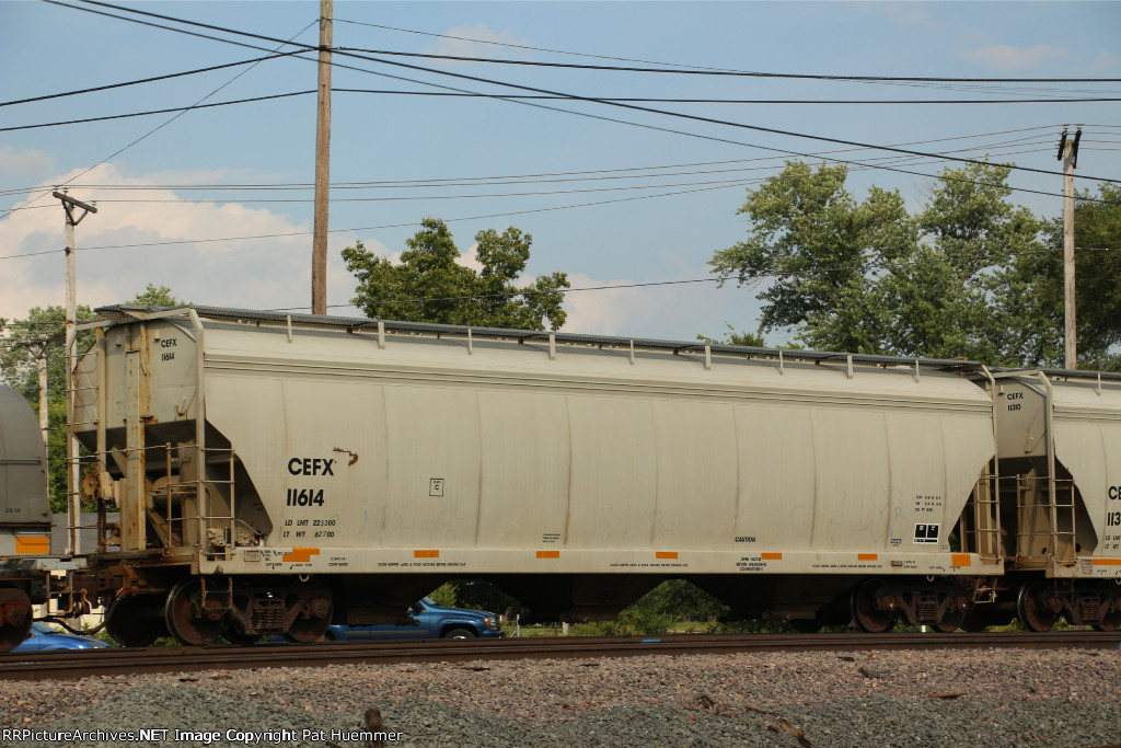 CEFX 11614