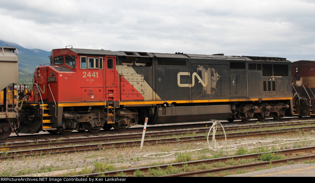 CN 2441