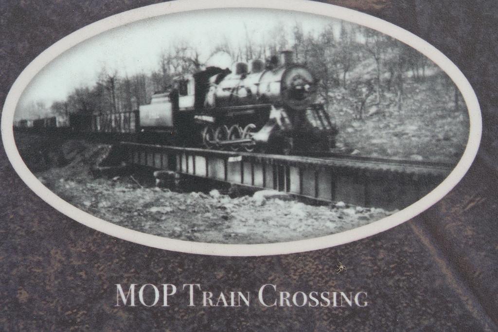 MP train