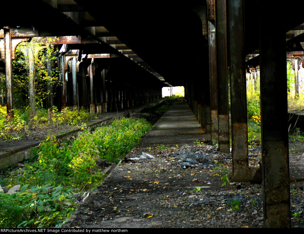 REA Building that's left in Buffalo NY by Buffalo Central Terminal