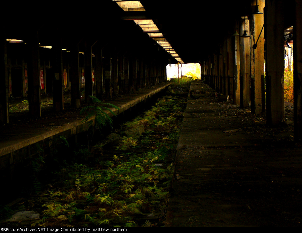 REA Building that's left in Buffalo NY by Buffalo Central Terminal