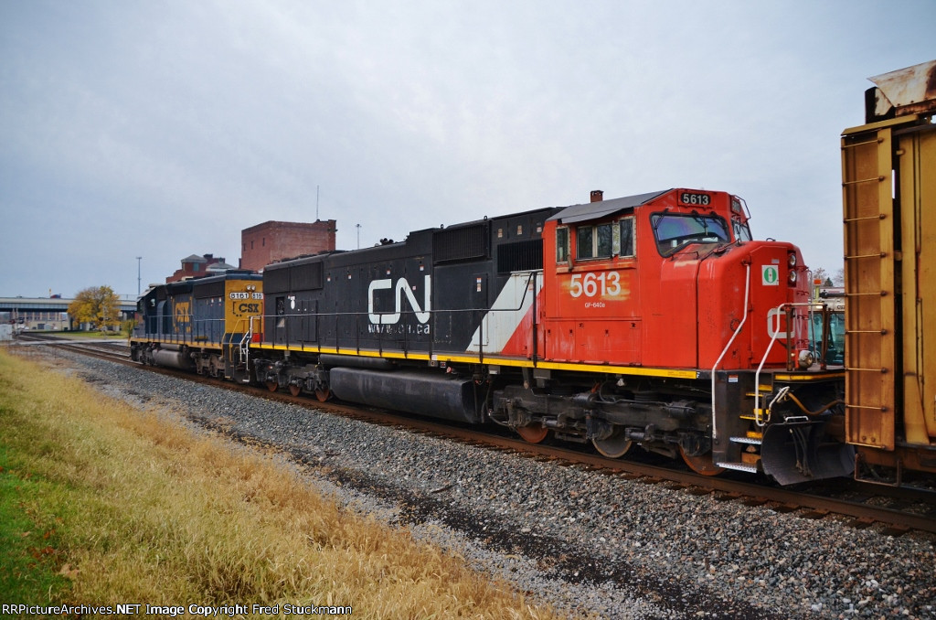 CN 5613