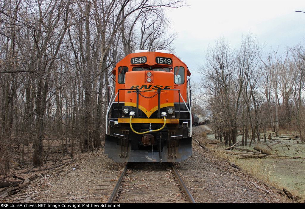 Sitting In The Swamp