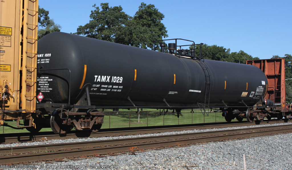 TAMX 1029 - Taminco Methylamines