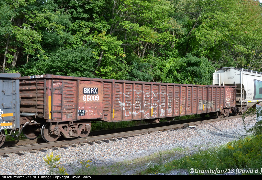 SKRX 65009