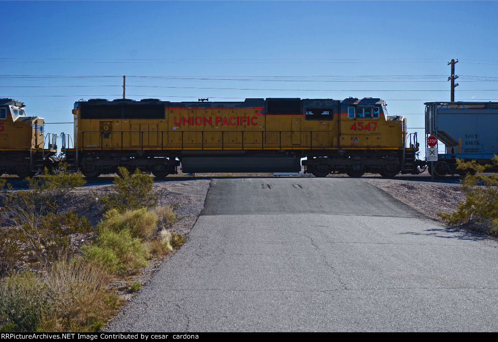 Untitled [www.rrpicturearchives.net]