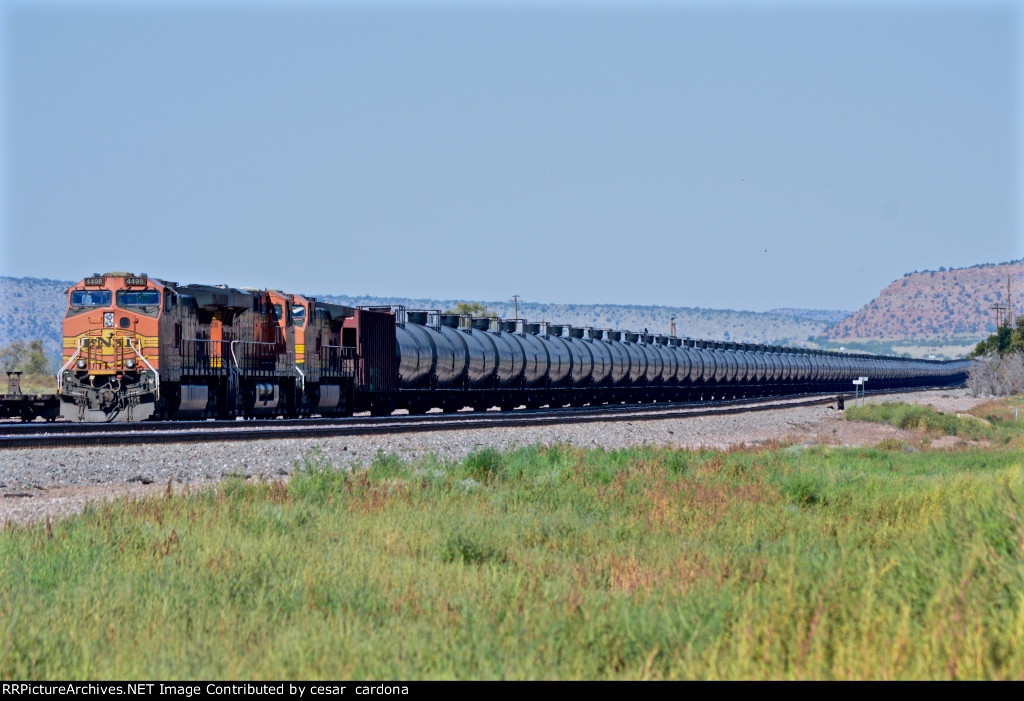 Untitled [www.rrpicturearchives.net]