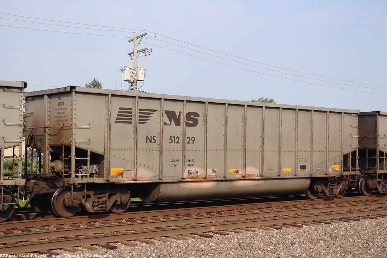 NS 51229