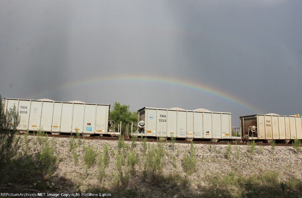 TXIX 2018, 2233, and 2036