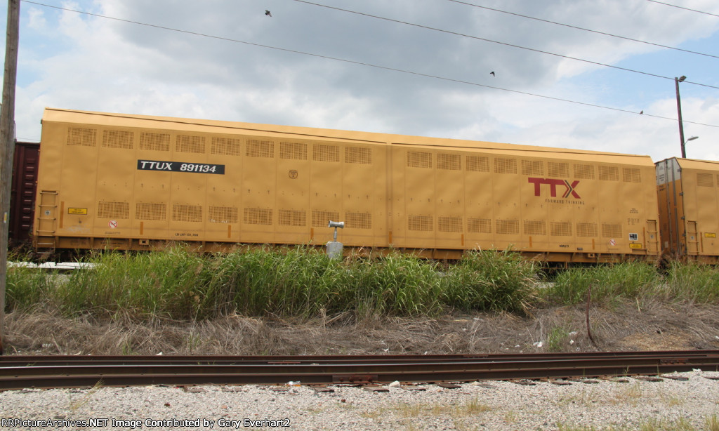 TTUX 891134 - TTX Co