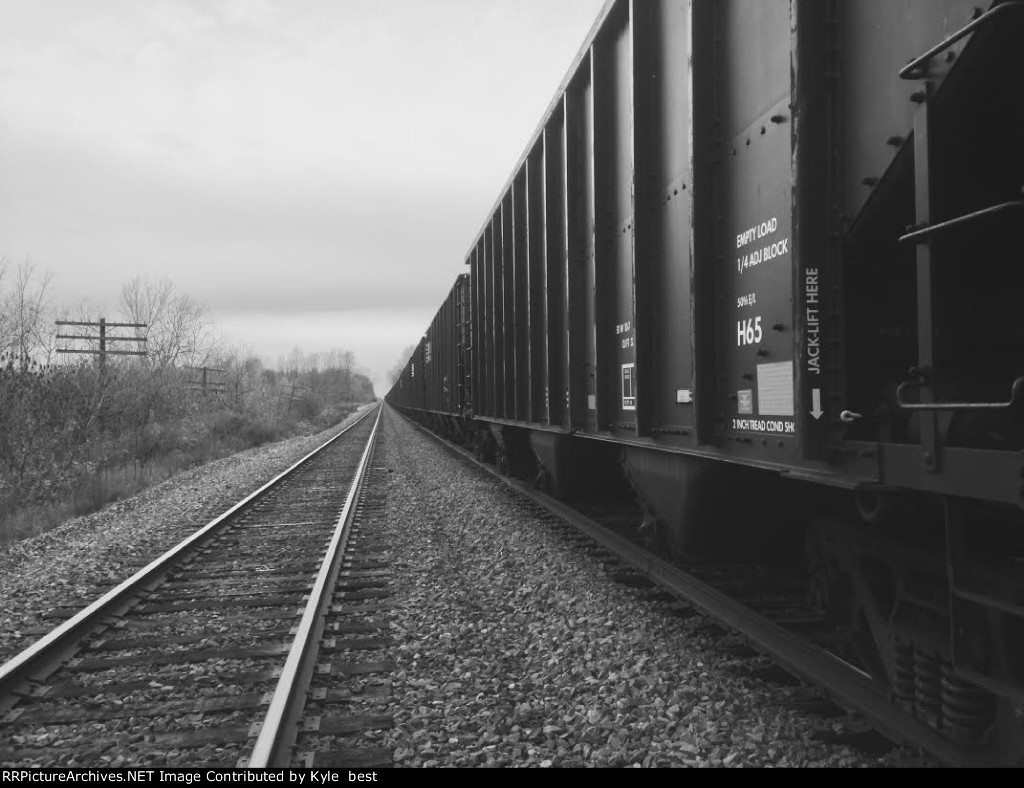 NS 533